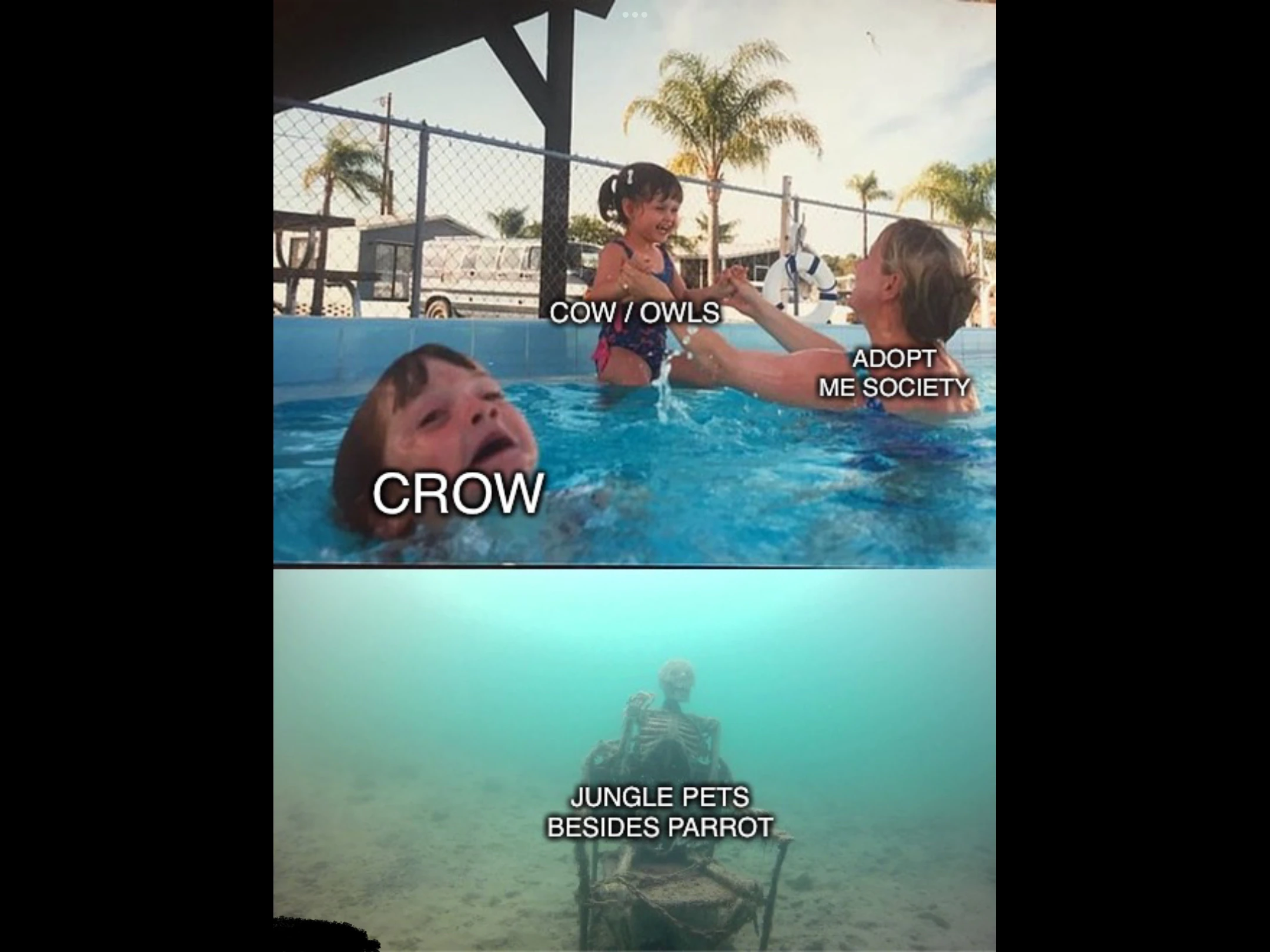 The Official Adopt Me Meme Collection Vol. 1 | Fandom