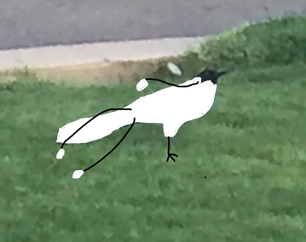 OMG IRL CREATURE SIGHTING REAL!!!!!1!1!1!1!!!1!1 | Fandom