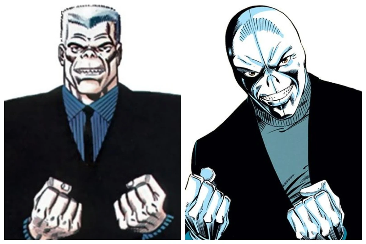 Similar character designs | Fandom