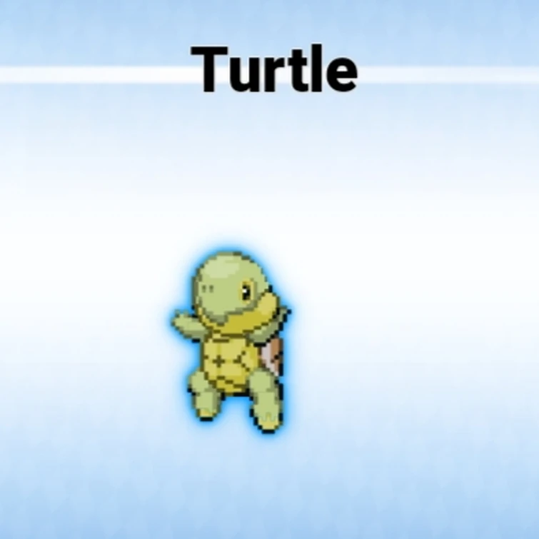 Here's my turtle | Fandom