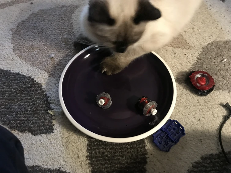 random thread | Fandom