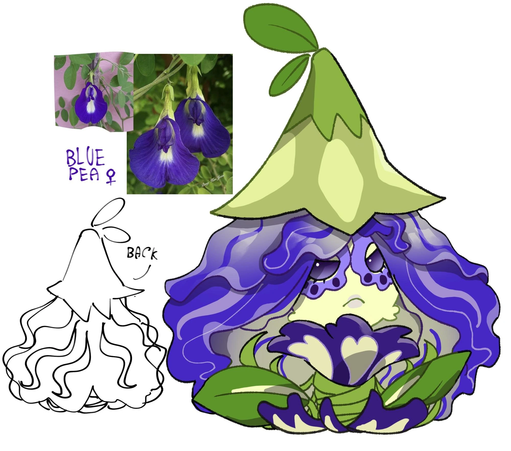 Oc :blue pea | Fandom