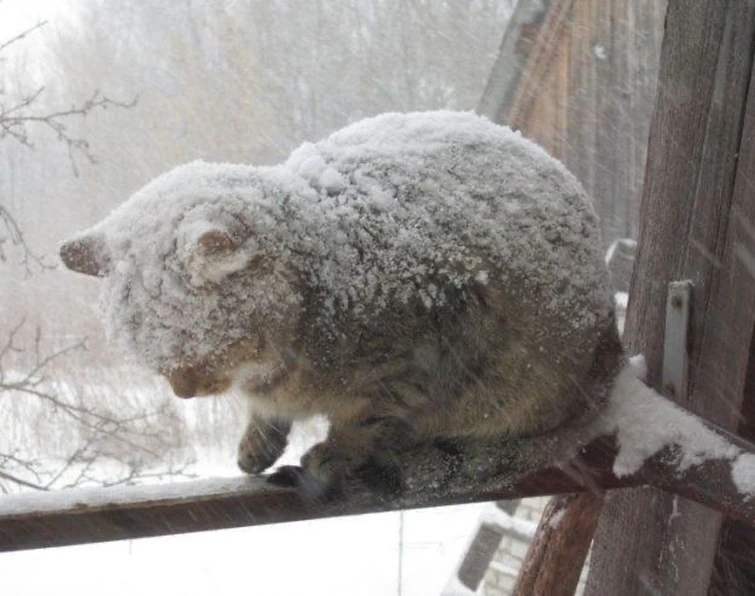 Ykw imma just say | Fandom