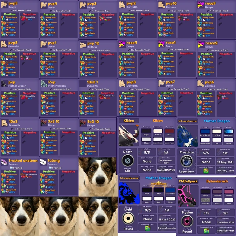 Discuss Everything About Dragon Adventures Wiki | Fandom