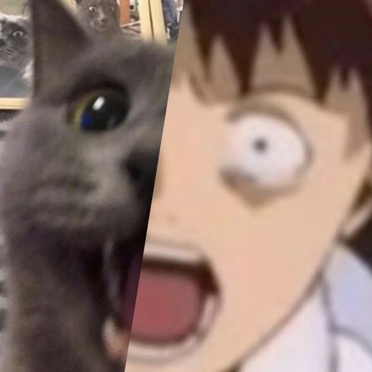 wiki is somehow dead chat | Fandom