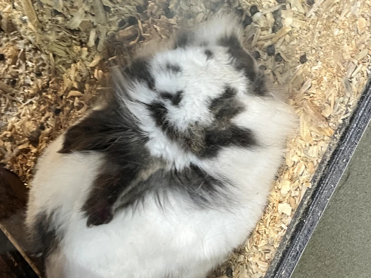 Random emotions outburst ig | Fandom