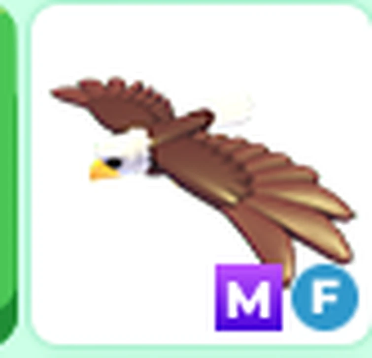 Mega Bald Eagle complete! | Fandom