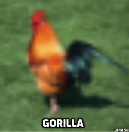 Gorilla | Fandom