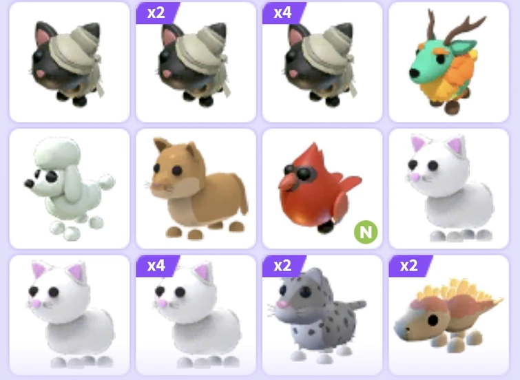 Discuss Everything About Adopt Me! Wiki | Fandom