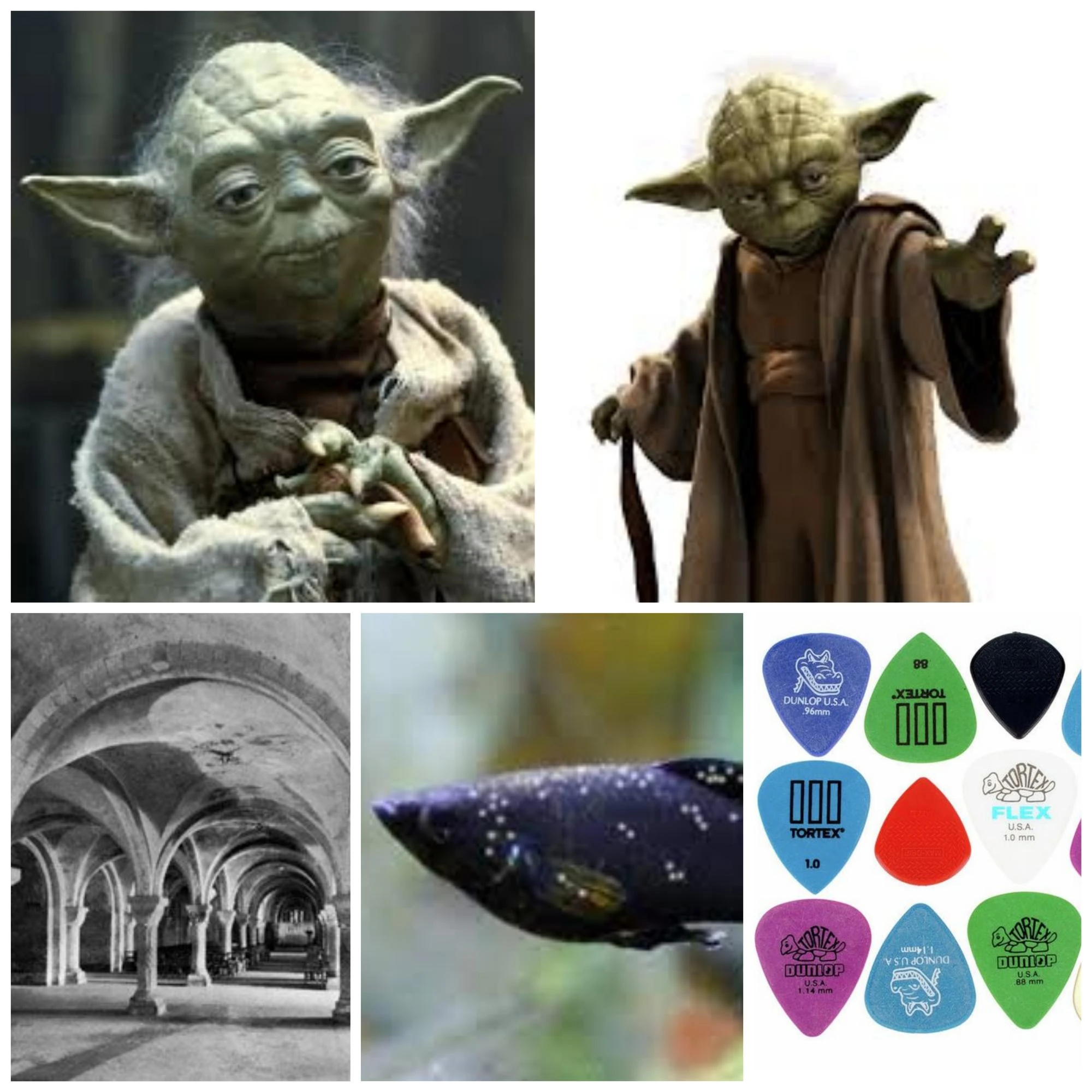 Yoda's Cryptic Pics | Fandom