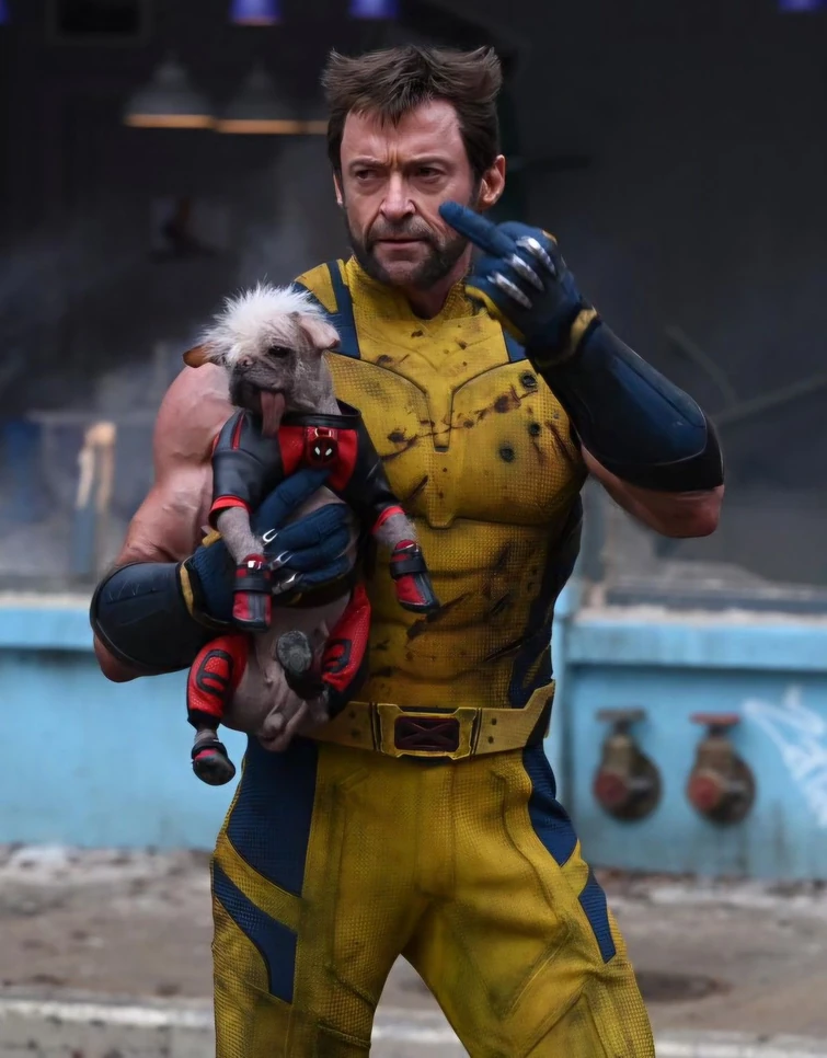 This is My Response to People Already Hating on Avengers: Doomsday | Fandom