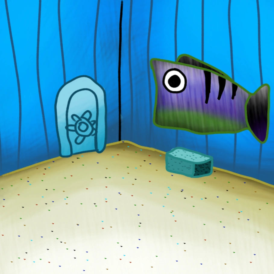 SpongeBoy best day ever stuff | Fandom