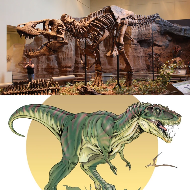 Did Tyrannosaurus rex have colors? | Fandom