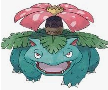 Best Team for Pokemon Fire Red and Leafgreen! | Fandom