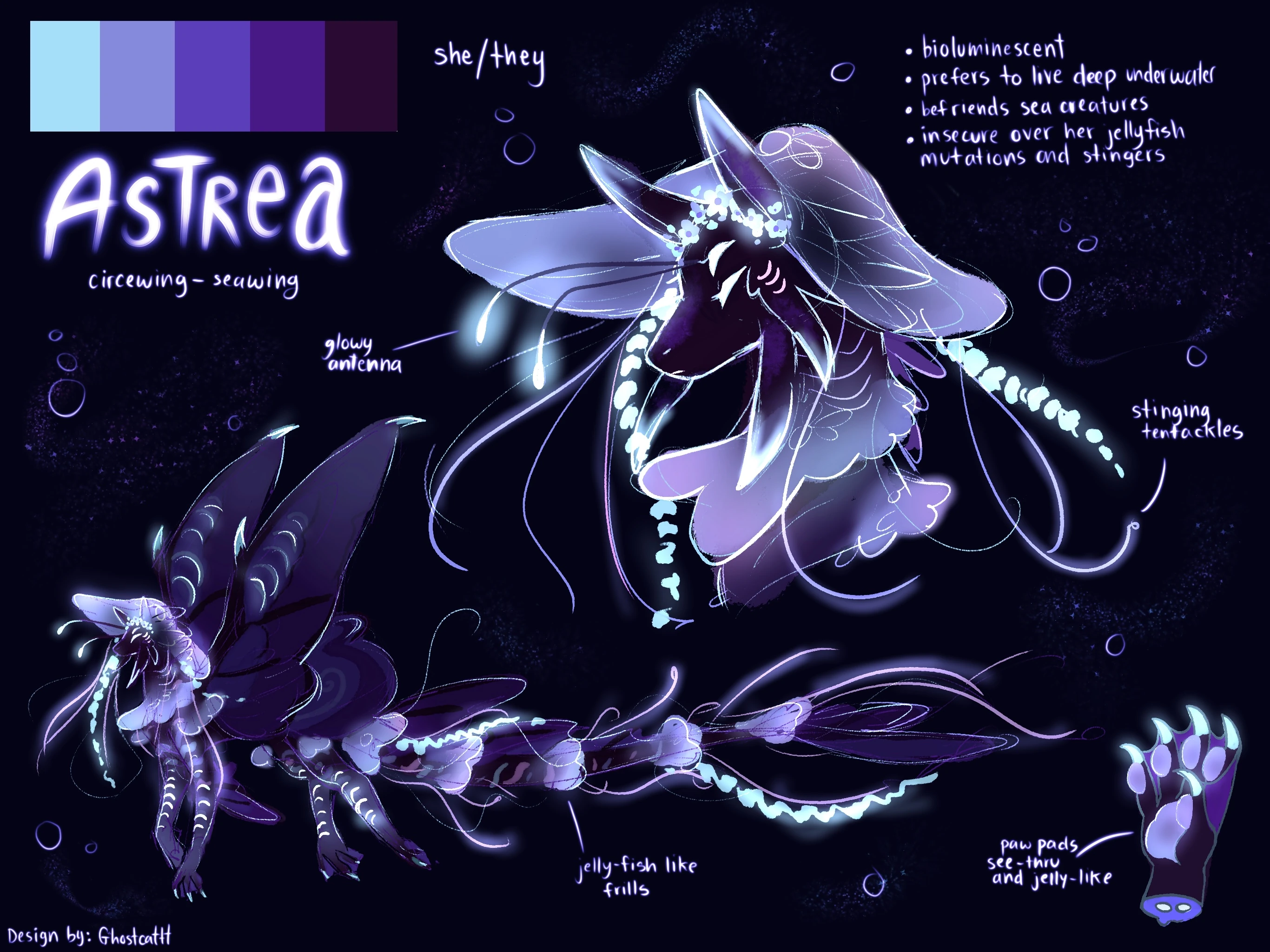 💜🪼circewing-seawing hybrid design!!🪼💜 | Fandom