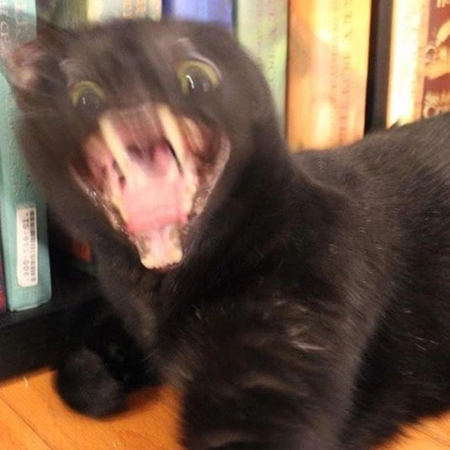 greetings toh wiki | Fandom