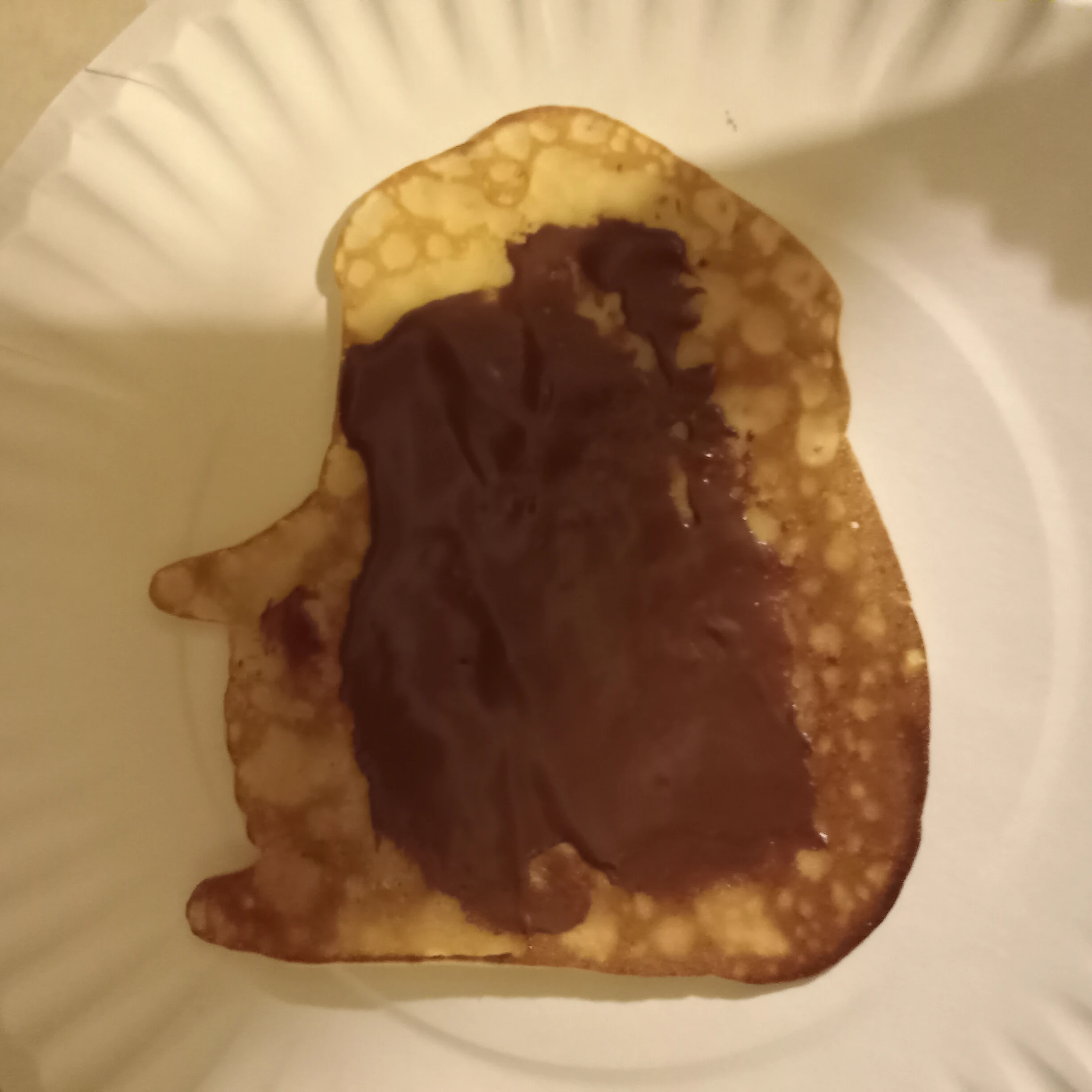 ACCIDENTALLY MADE A CAT SHAPED CREPE | Fandom