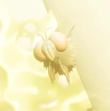 Which version of Gnat do you think is best? | Fandom