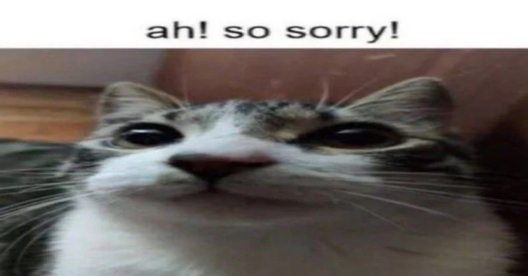 oh! so sorry! | Fandom