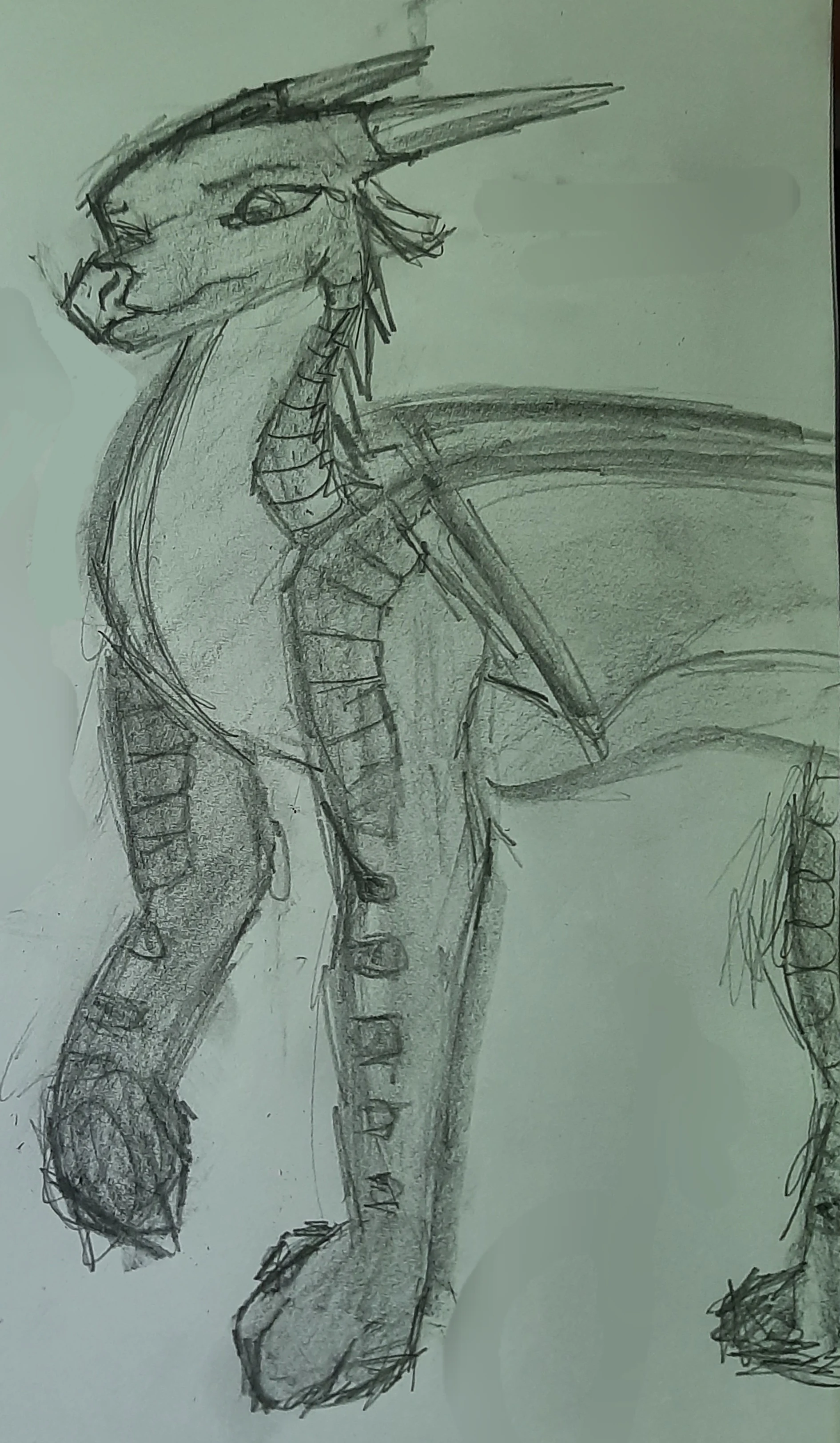 Moonwatcher art | Fandom