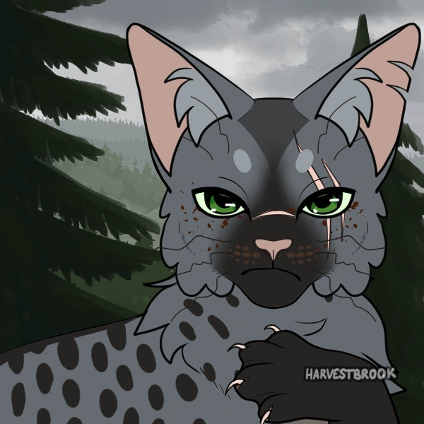 Jak sobie wyobrażaliście...? #95 | Fandom