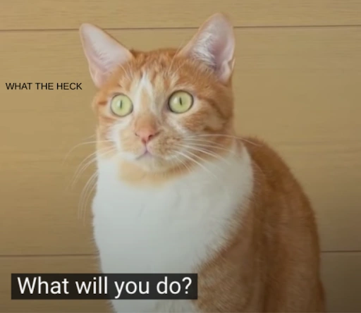 CreamHeroes Memes | Fandom