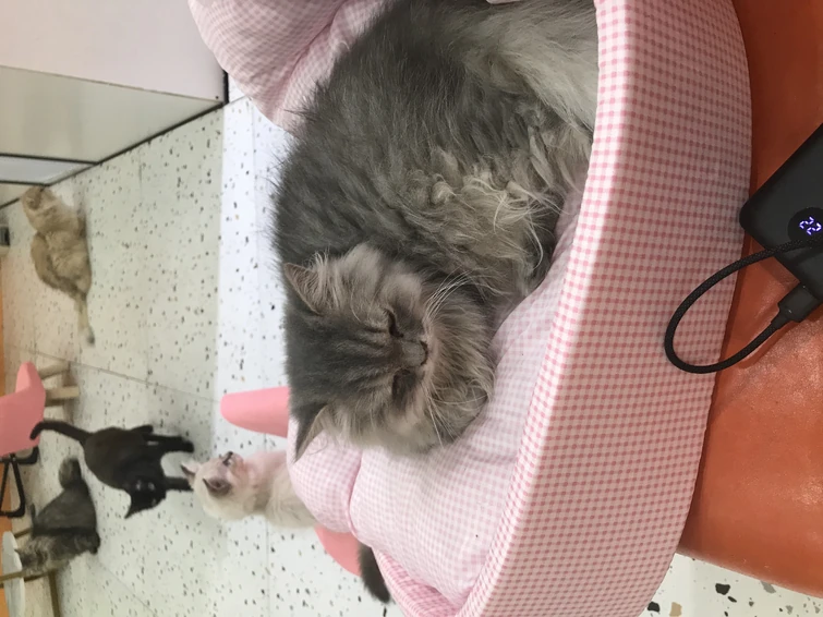 and why he eepy | Fandom