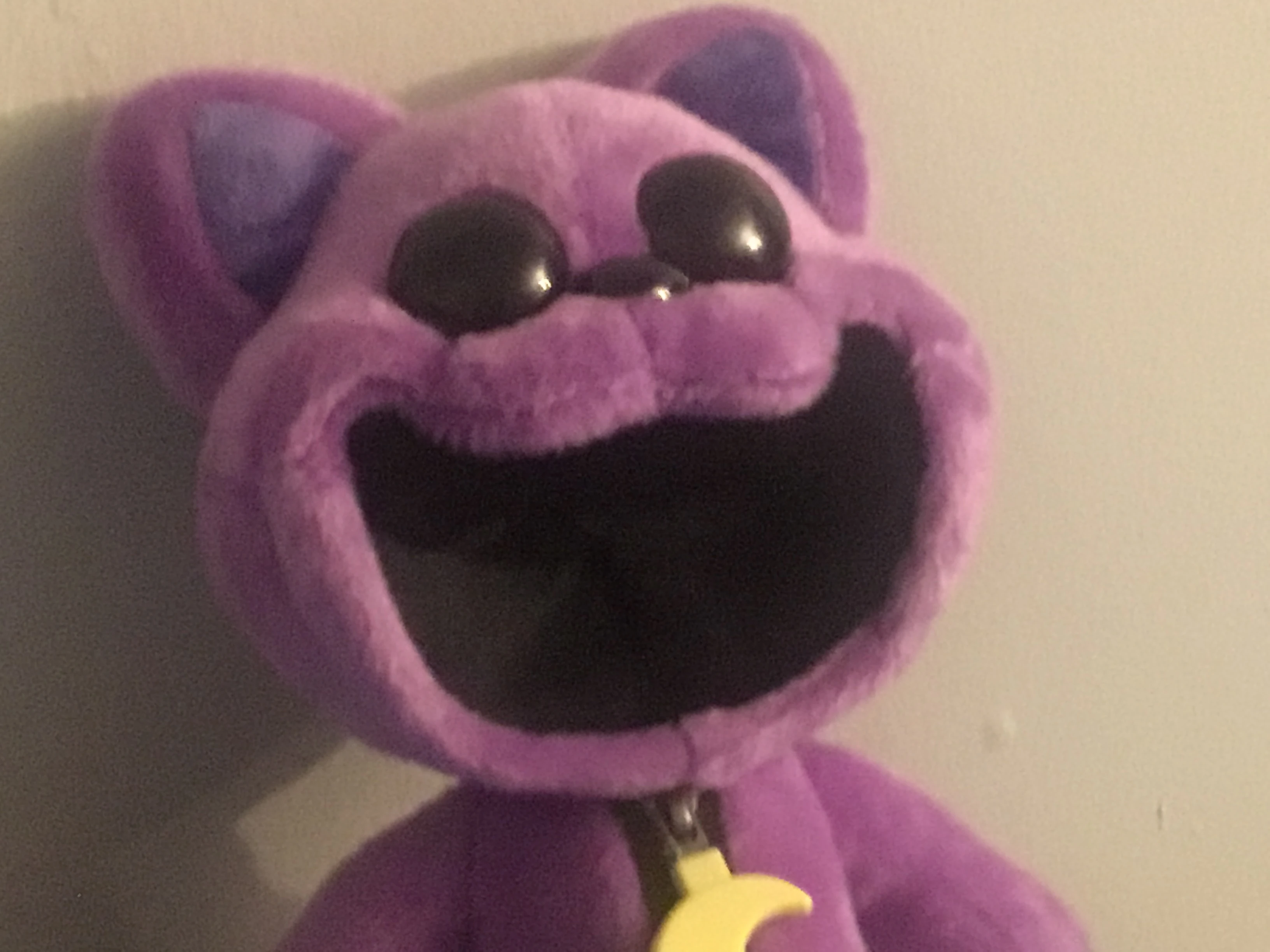 Ima be sleeping good tonight! | Fandom