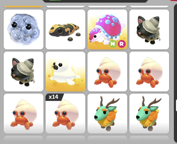 Discuss Everything About Adopt Me! Wiki | Fandom