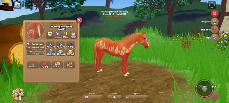 Discuss Everything About Wild Horse Islands Wiki | Fandom