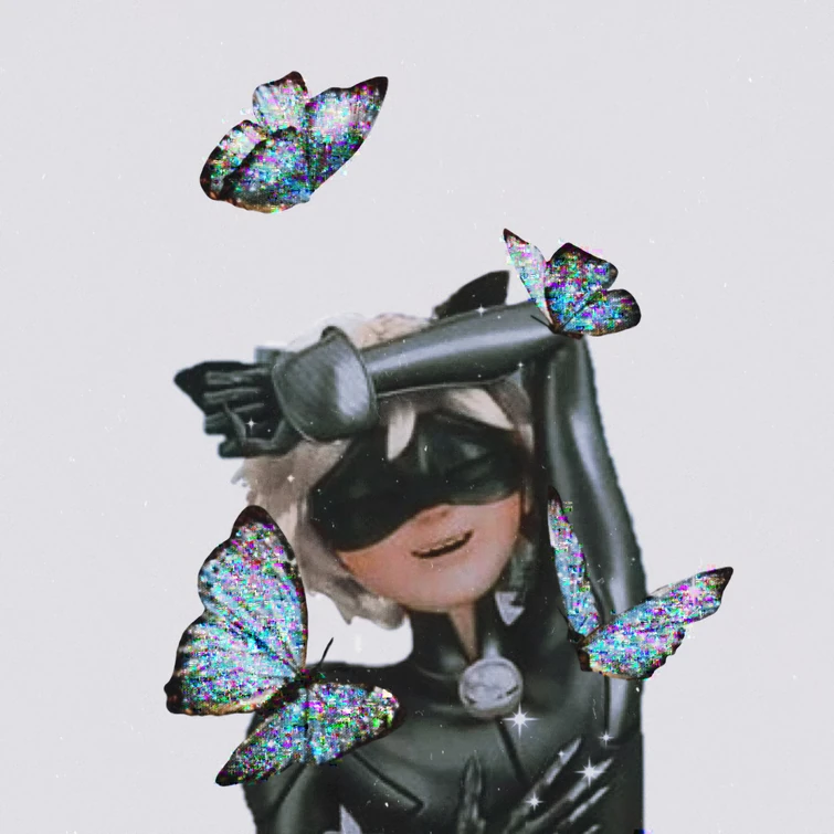 Chat Noir Edit | Fandom