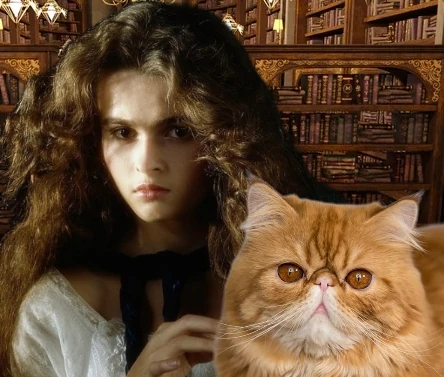 Hermione and Crookshanks Edit | Fandom