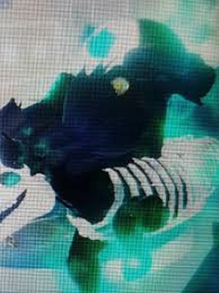 Trading HOH | Fandom