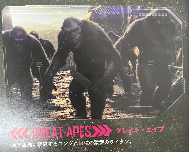 I have a question about the great apes from GXK. | Fandom