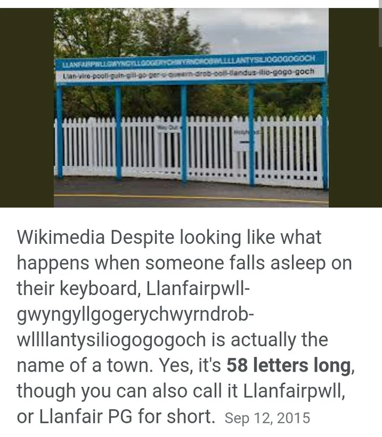 Random Image Counting | Fandom