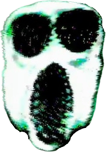 ambush's in game appearance | Fandom