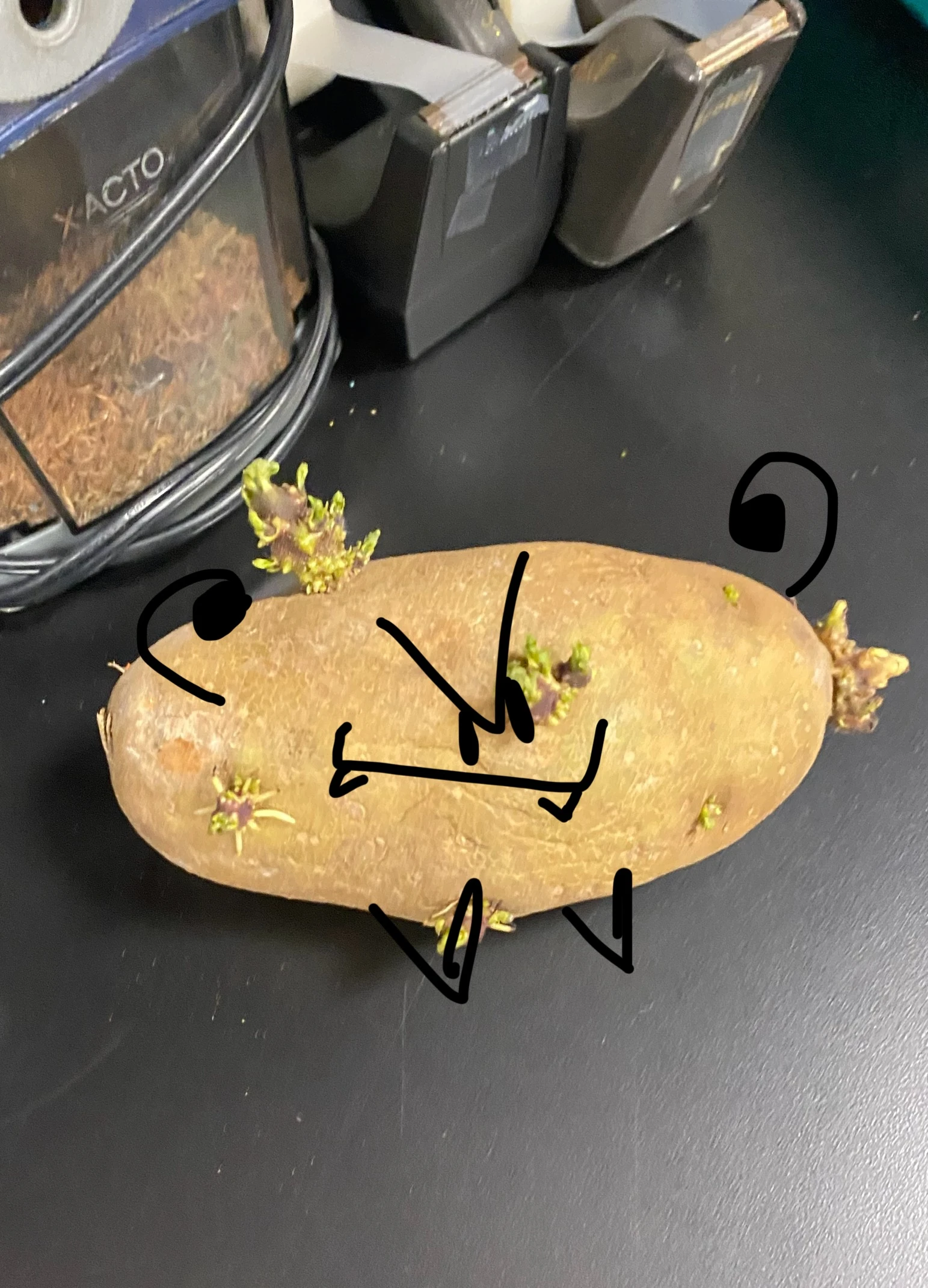AAAAAAÆ THE POISONOUS POTATO | Fandom