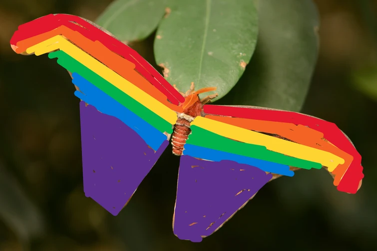 ITS PRIDE MOTH | Fandom