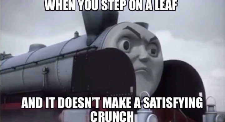 Found this funny meme in a Mr. Ryan video | Fandom