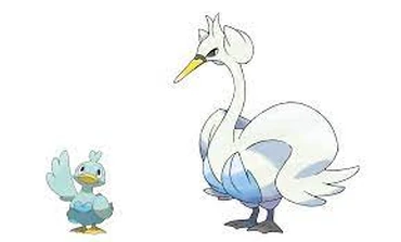 Best Bird Pokemon part 4 | Fandom