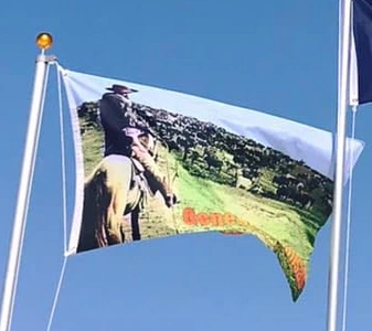 THE GREAT BANNER IN ACTION | Fandom