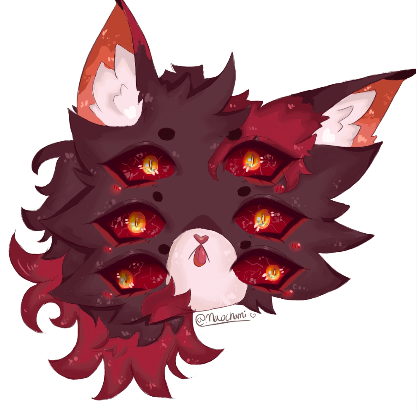 Kitty Koku