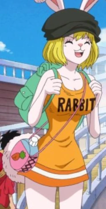 Who would rather join the Straw Hats? | Fandom