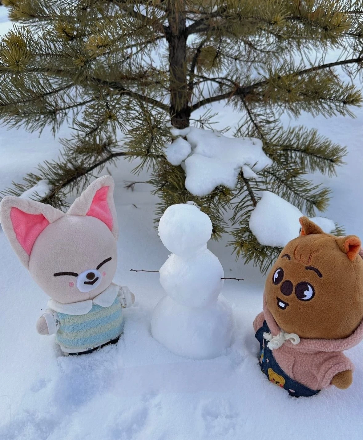 not-so-daily skzoo (day 29) | Fandom