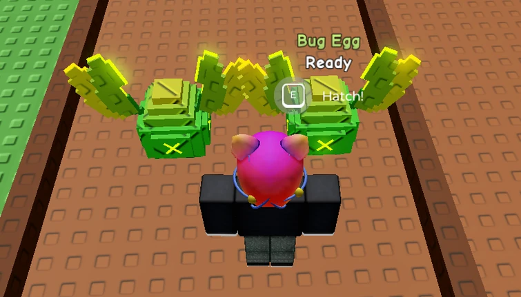 okay 2 bug eggs wish me luck | Fandom