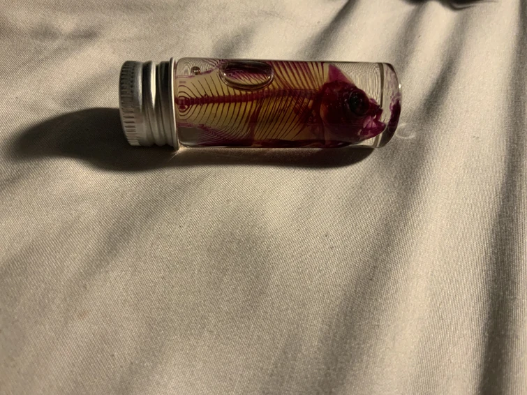 Discuss Everything About Wings of Fire Wiki | Fandom