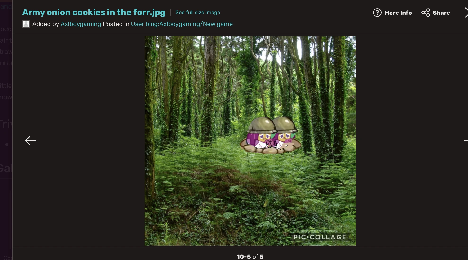 what the oven is this | Fandom