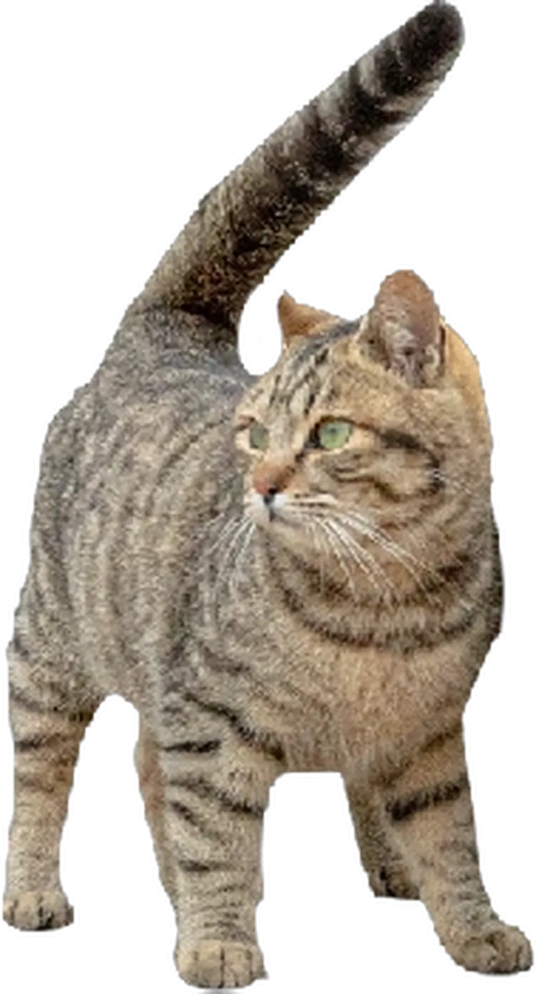 All posts by Number1GrimFoxyFan | Fandom