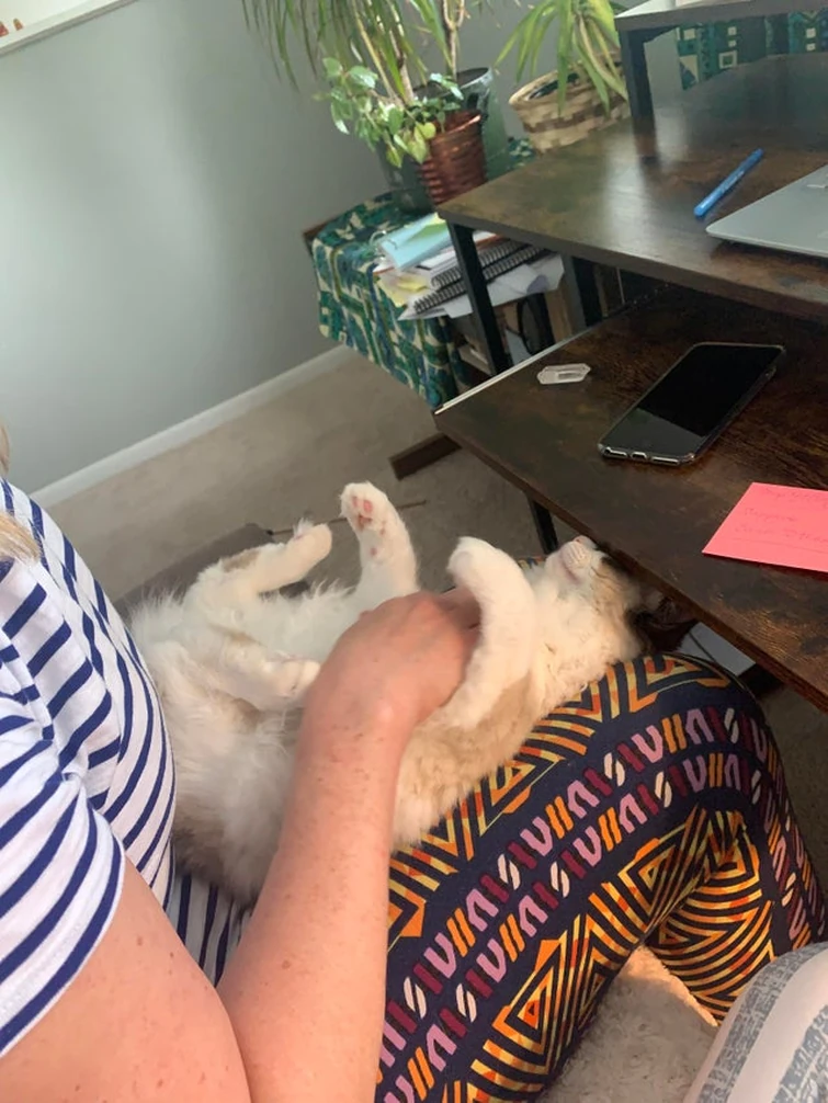 Daily dose of Eyebleach | Fandom