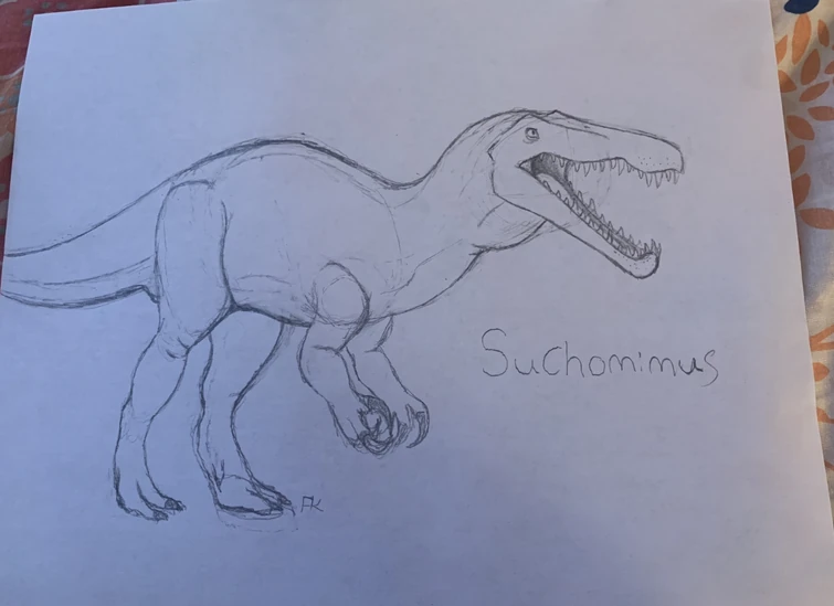 Rate my sketch of a Suchomimus | Fandom